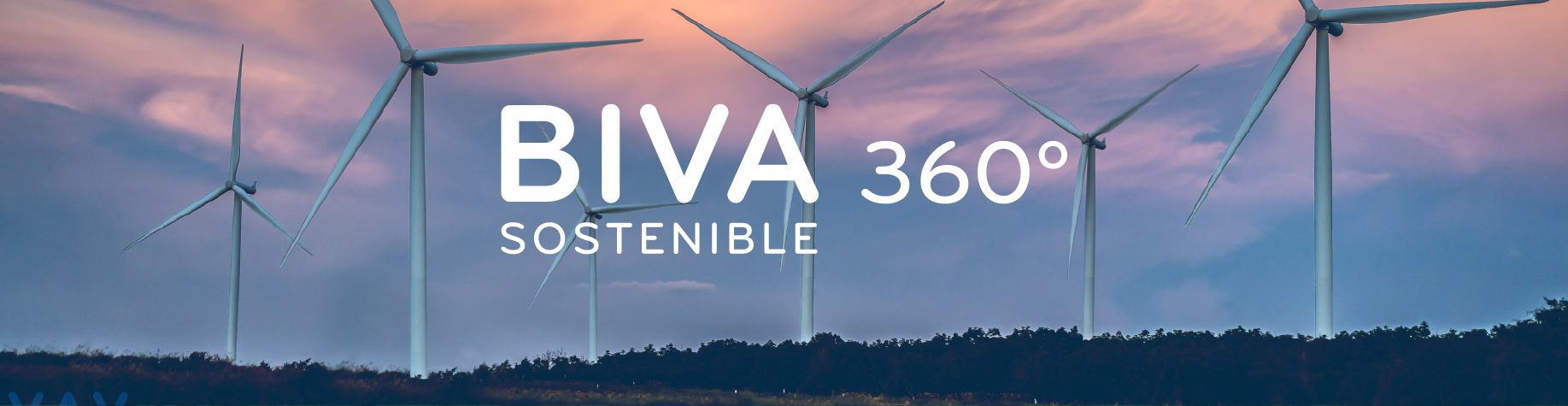 Portal BIVA - Bolsa Institucional de Valores